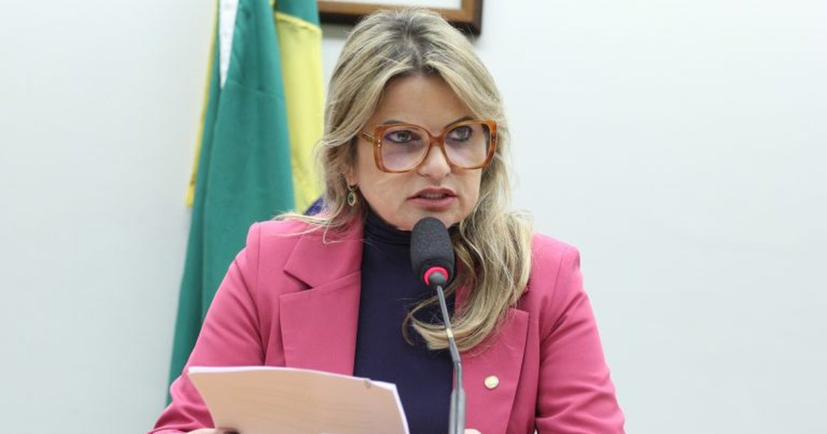 Comissão Externa Da Câmara Dos Deputados Promove Audiência Pública Para