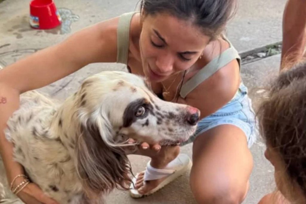 Anitta se emociona ao resgatar cachorro Charlie em buraco debaixo de ...